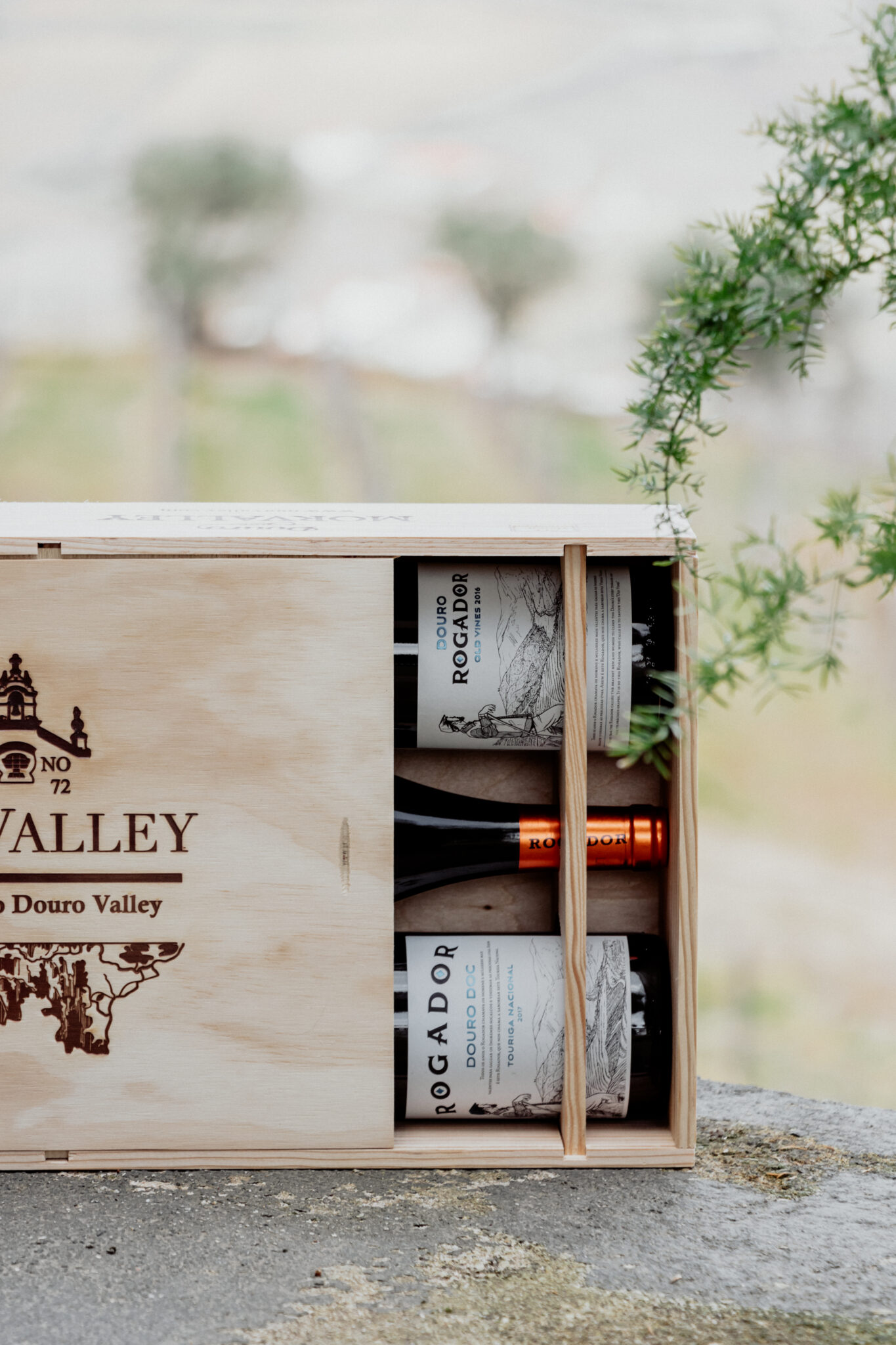 Morvalley Premium - MorValley